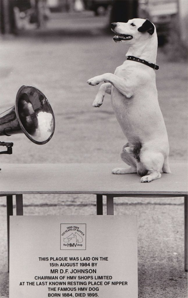 Nipper Lives On! An Interview with Trish Saunders - EMI Archive Trust
